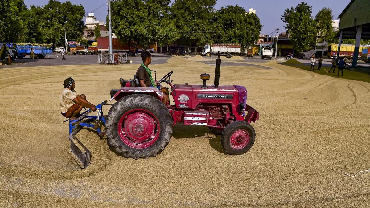 Govt sets record 169 million tonnes foodgrain production target for ...
